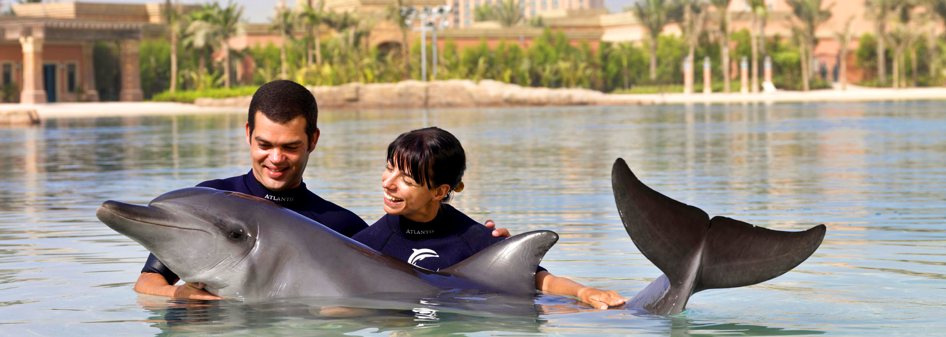 dolphin_bay - Rida International Tourism & Travel