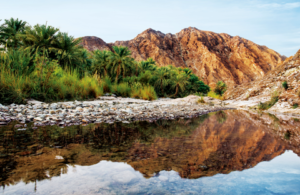 Home - Rida International Tourism & Travel